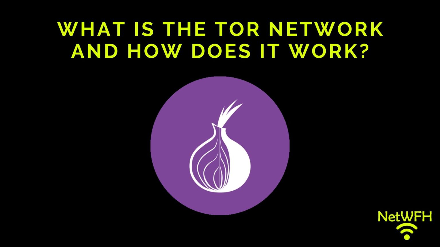 What is the Tor Network and How Does it Work? – NetWork From Home